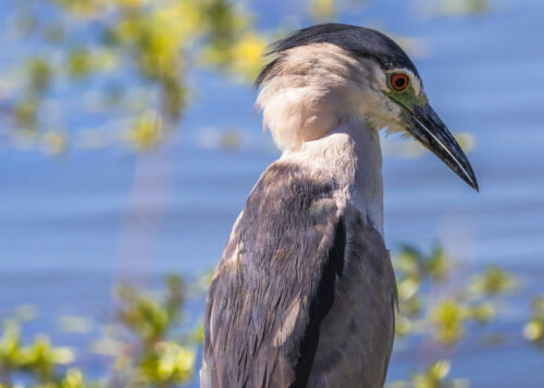 How Ava Works | Ava Community Energy